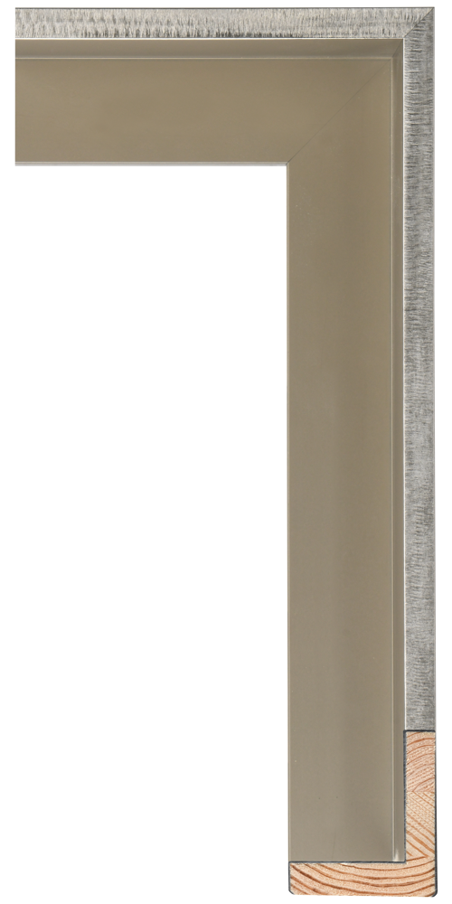 Frame Moulding - Metalia Silver Float 2" | Larson-Juhl